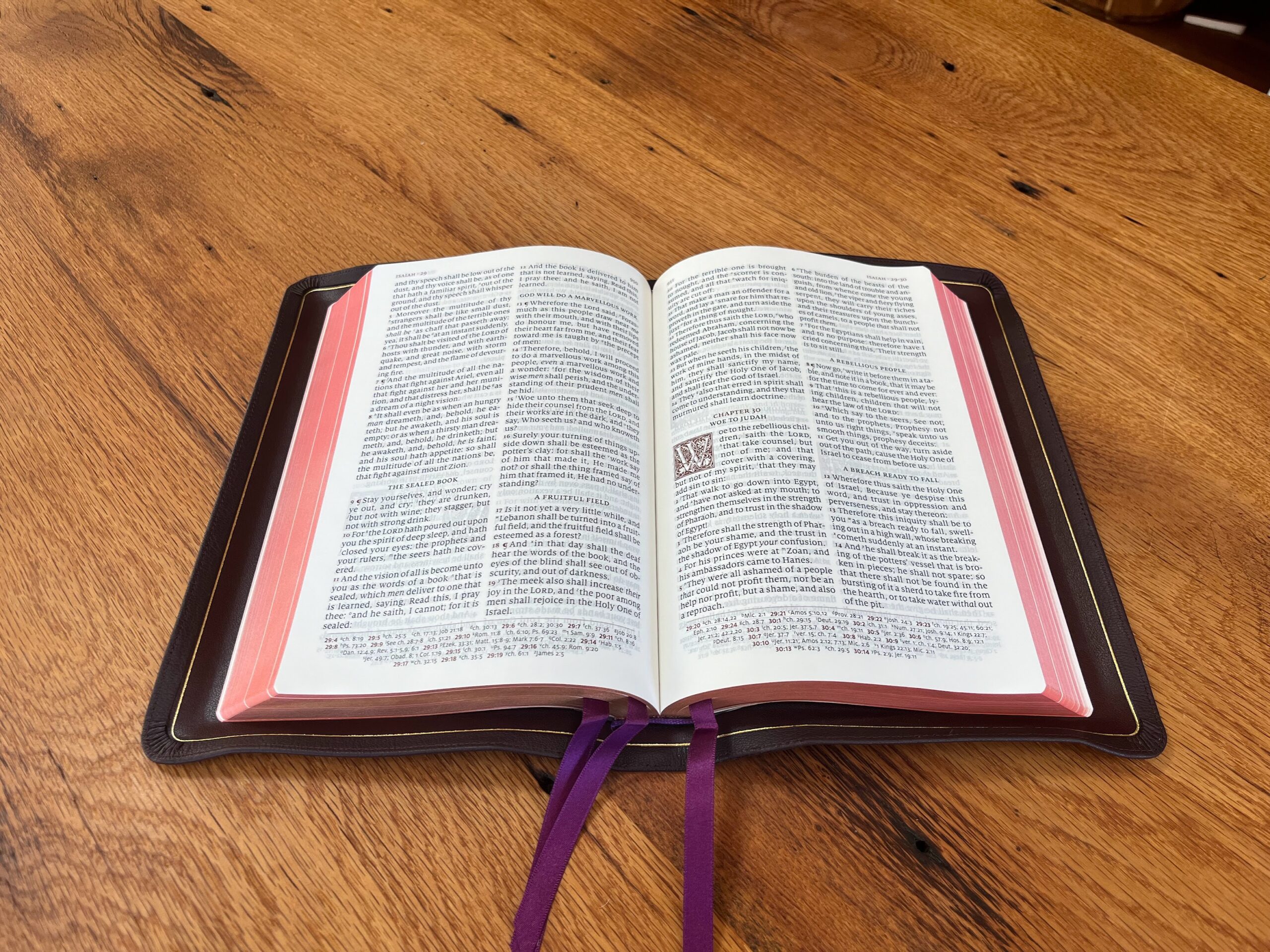 Schuyler Canterbury KJV, Full Yapp Dark Purple Goatskin Bible | EvBible.com