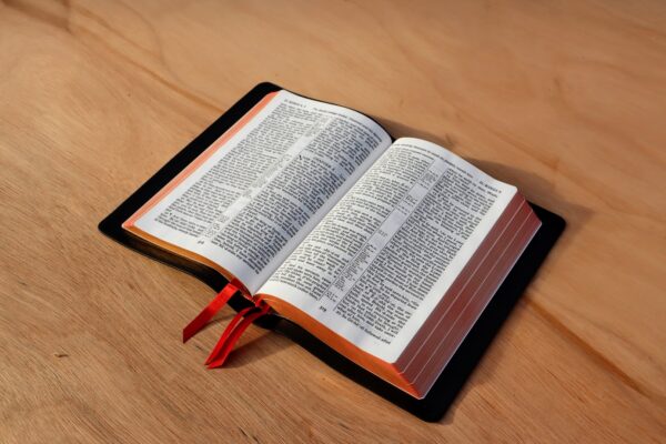 Cambridge Turquoise KJV Reference Bible, Black Calfskin, Full Yapp ...