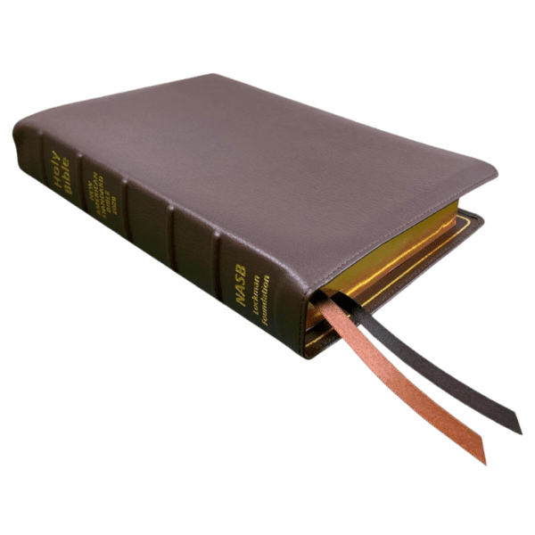 Lockman Nasb 2020 Bibles Evbible