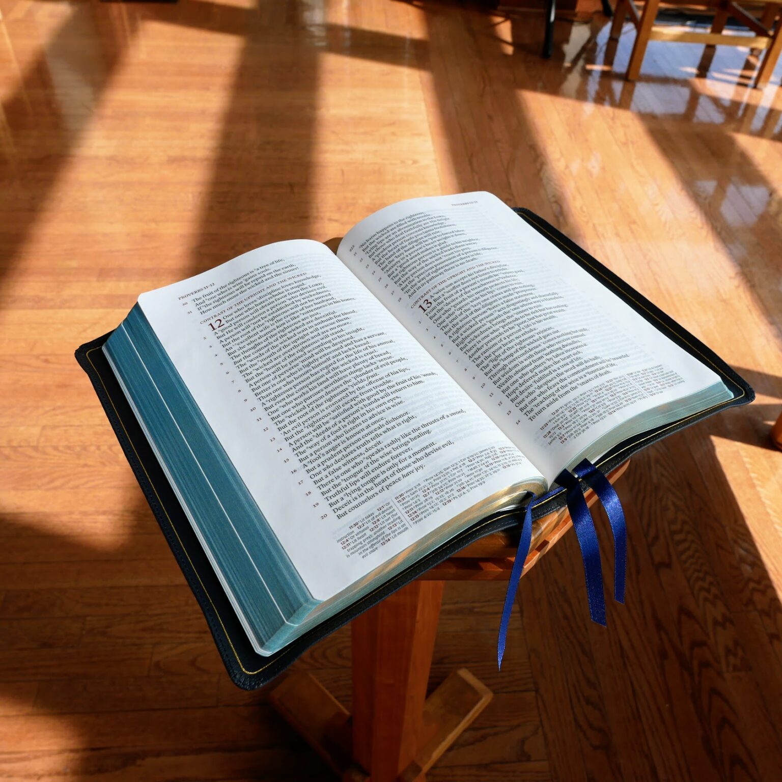 Schuyler NASB Bibles | EvBible.com