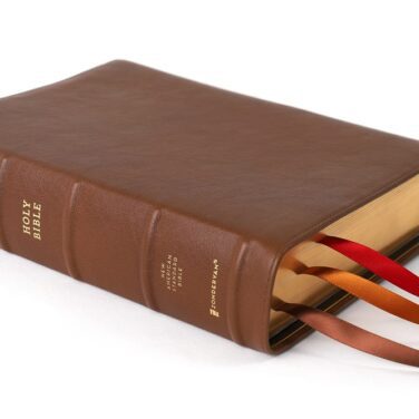 Zondervan NASB (1995), The Grace and Truth Study Bible, Premium ...
