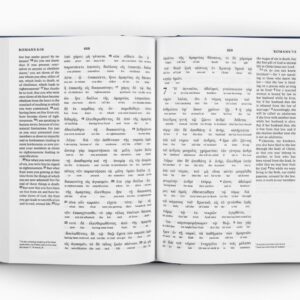 Crossway Greek-English Interlinear ESV New Testament: Nestle-Aland ...