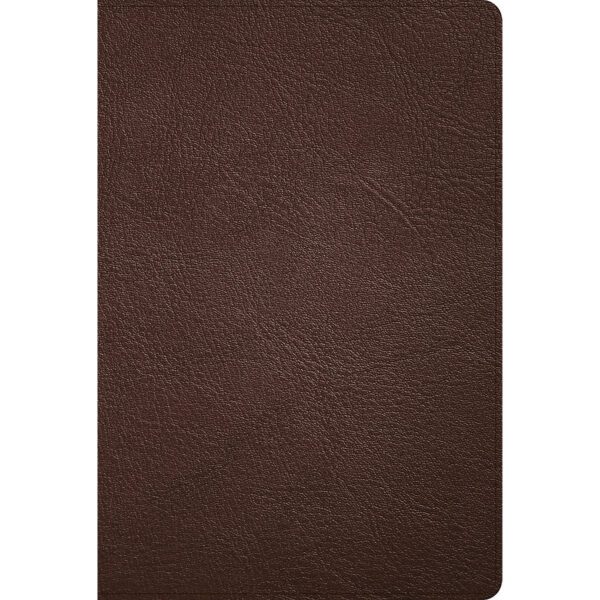 Premium Holman Bibles | EvBible.com