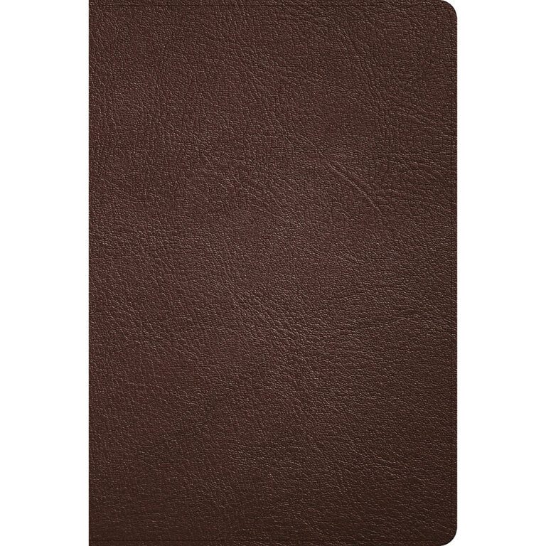 Premium Holman Bibles | EvBible.com