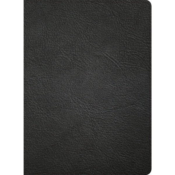 Premium Holman Bibles | EvBible.com