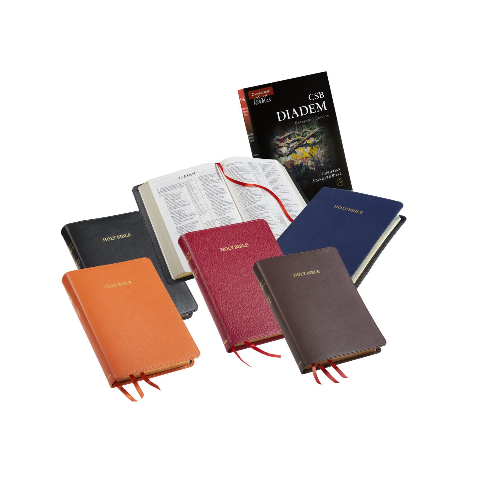 Premium CSB Bibles | EvBible.com