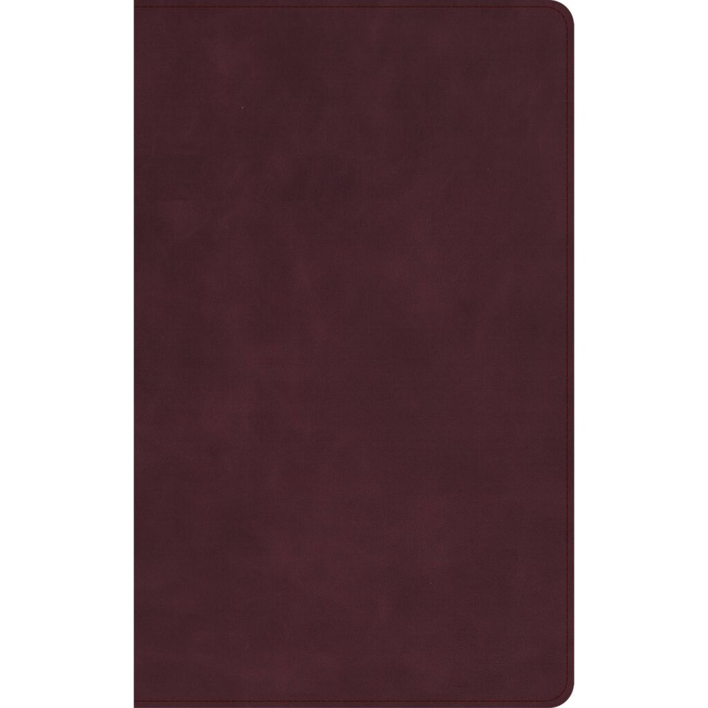 Premium Holman Bibles | EvBible.com