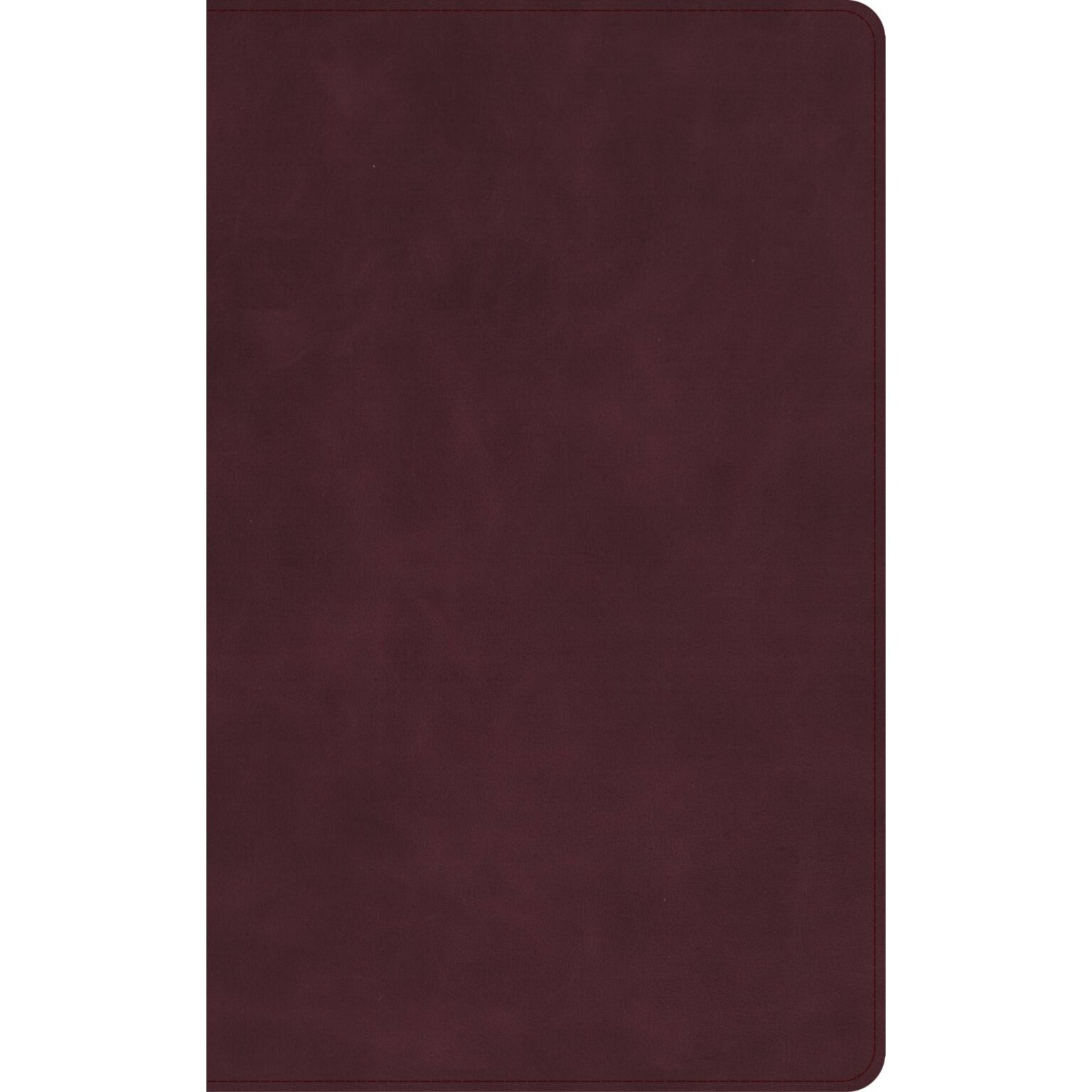 Premium Holman Bibles | EvBible.com