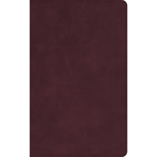 Premium Holman Bibles | EvBible.com