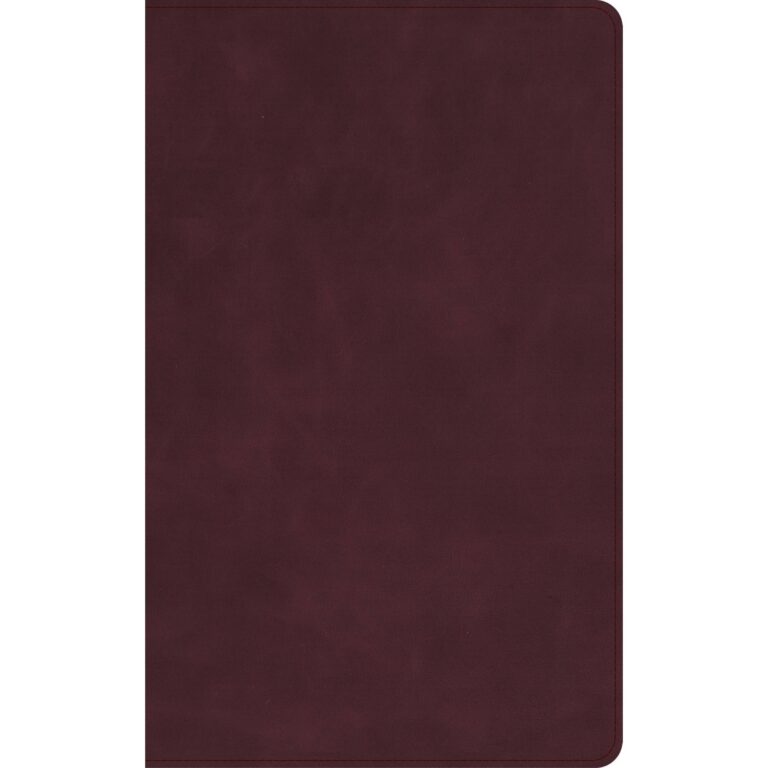 Premium Holman Bibles | EvBible.com