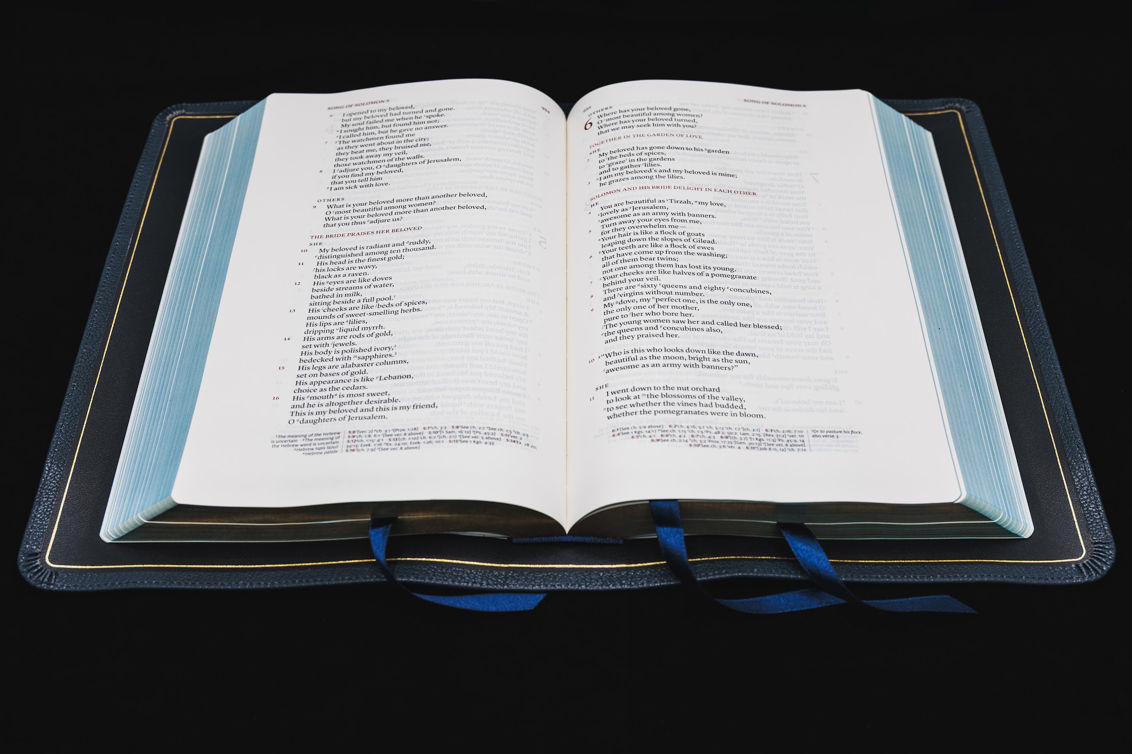 NEW Schuyler Stridon ESV, Full Yapp Imperial Blue Goatskin Bible ...