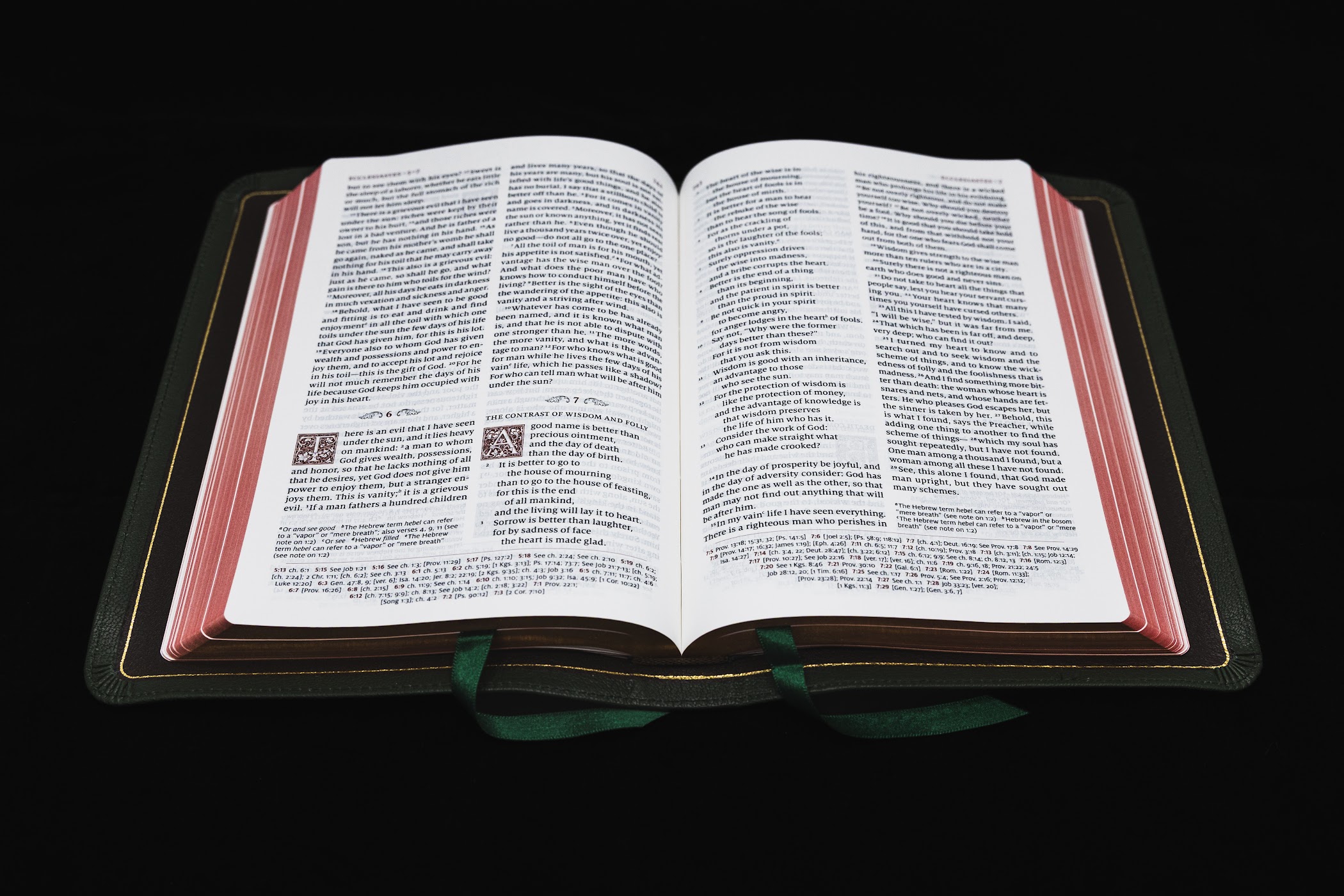 IMPERFECT A38: Schuyler Personal Size Quentel ESV, Full Yapp Dark Green ...