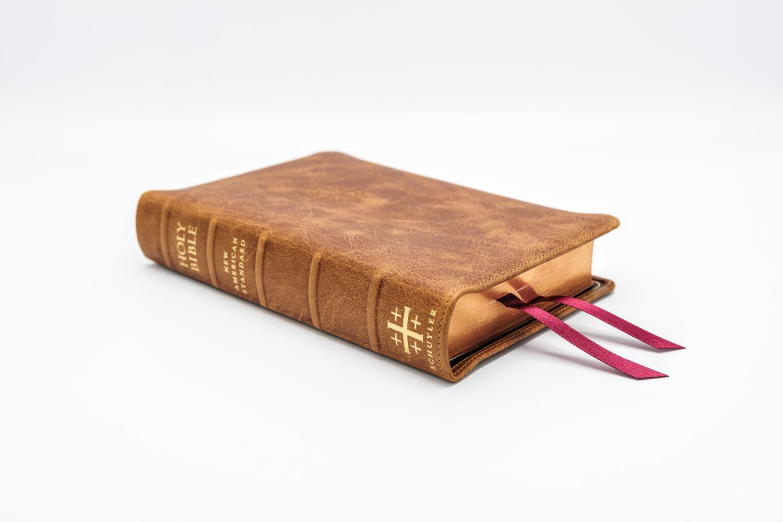 Schuyler Personal Size Quentel NASB, Desert Camel Calfskin Bible ...