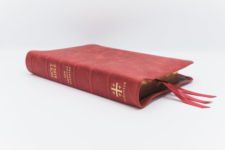 Schuyler Quentel NASB, Full Yapp Marbled Crimson Calfskin Bible ...